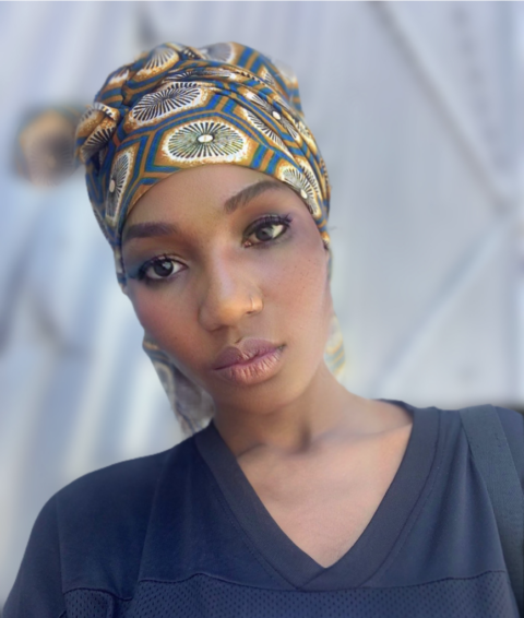 The Mercury Project: Health Ambassadors – EGAP